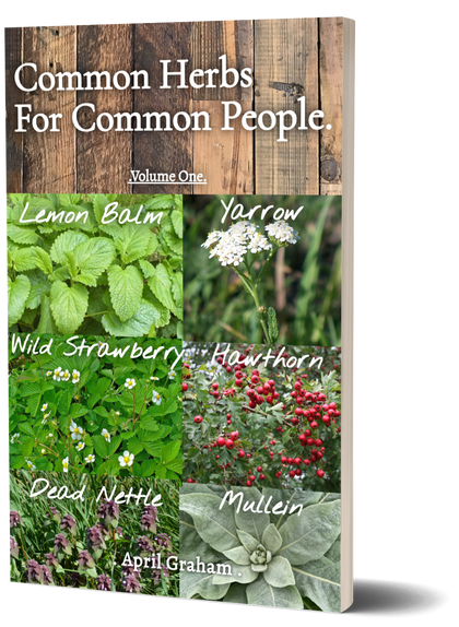 Common Herbs For Common People- Volume One - PAPERBACK – She Is Of The ...