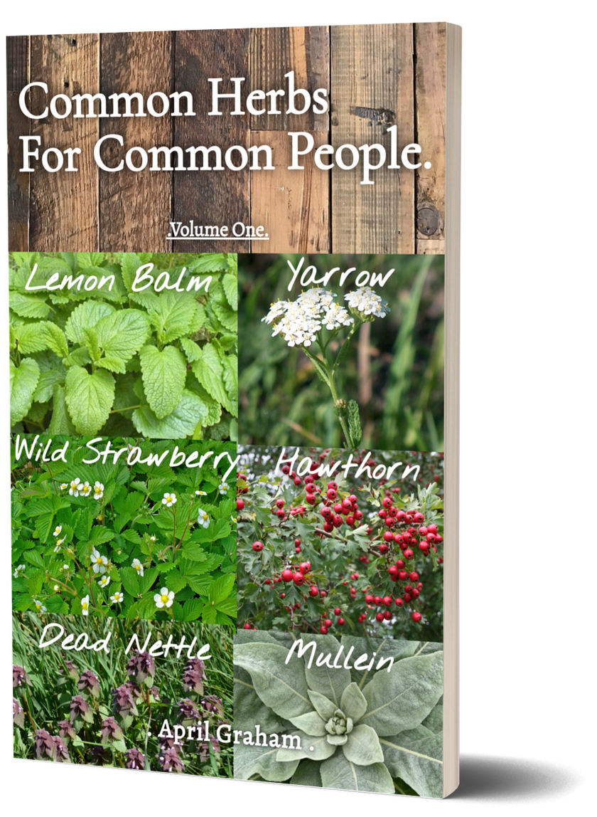 Common Herbs For Common People- Volume One - PAPERBACK – She Is Of The ...