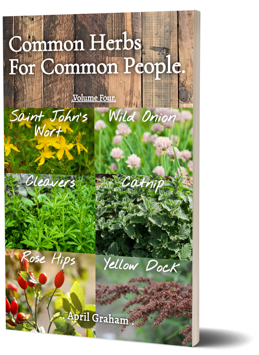 Common Herbs For Common People- Volume Four - PAPERBACK – She Is Of The ...