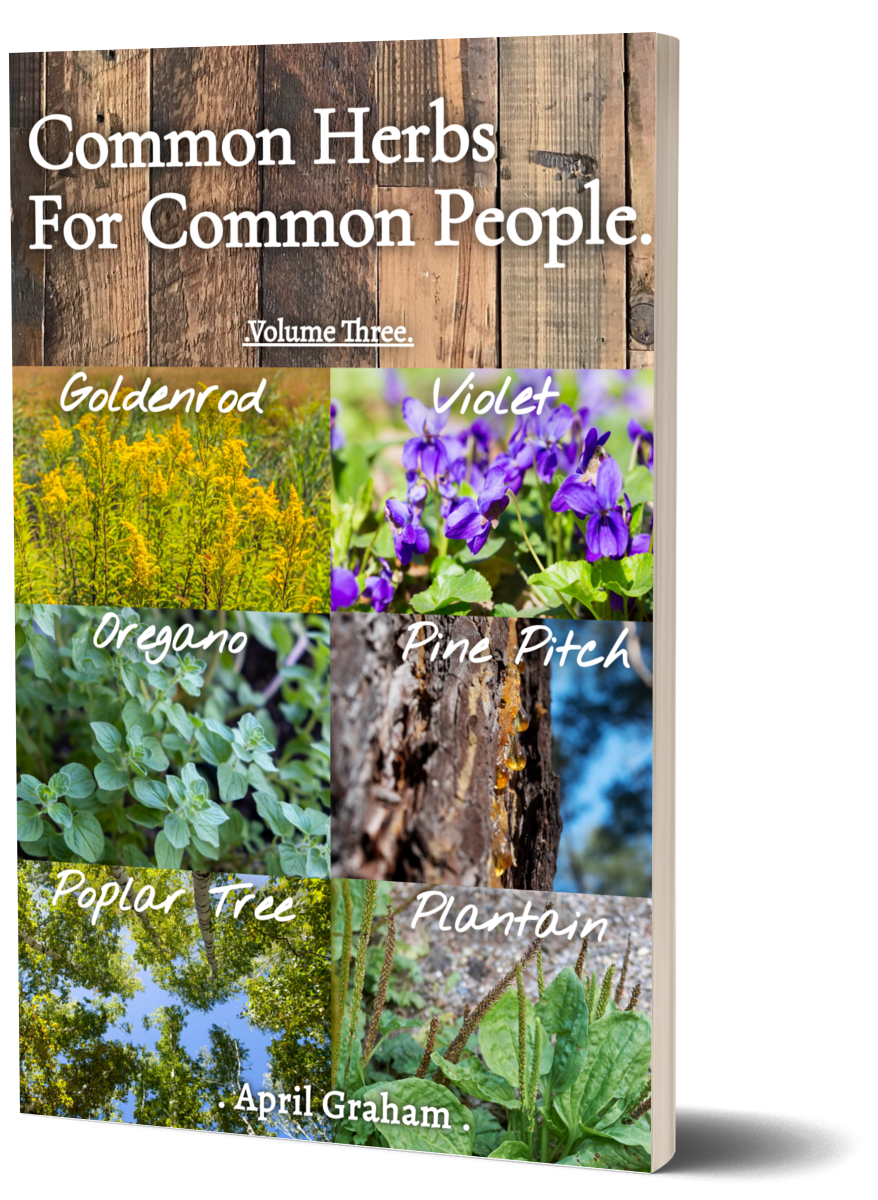 Common Herbs For Common People- Volume Three - PAPERBACK – She Is Of ...