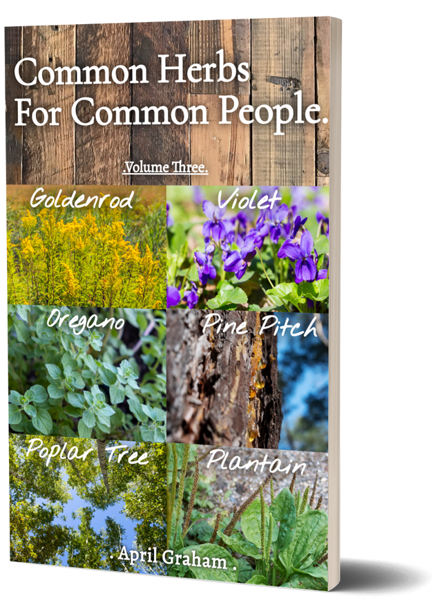 Common Herbs For Common People- Volume Three - PAPERBACK – She Is Of ...